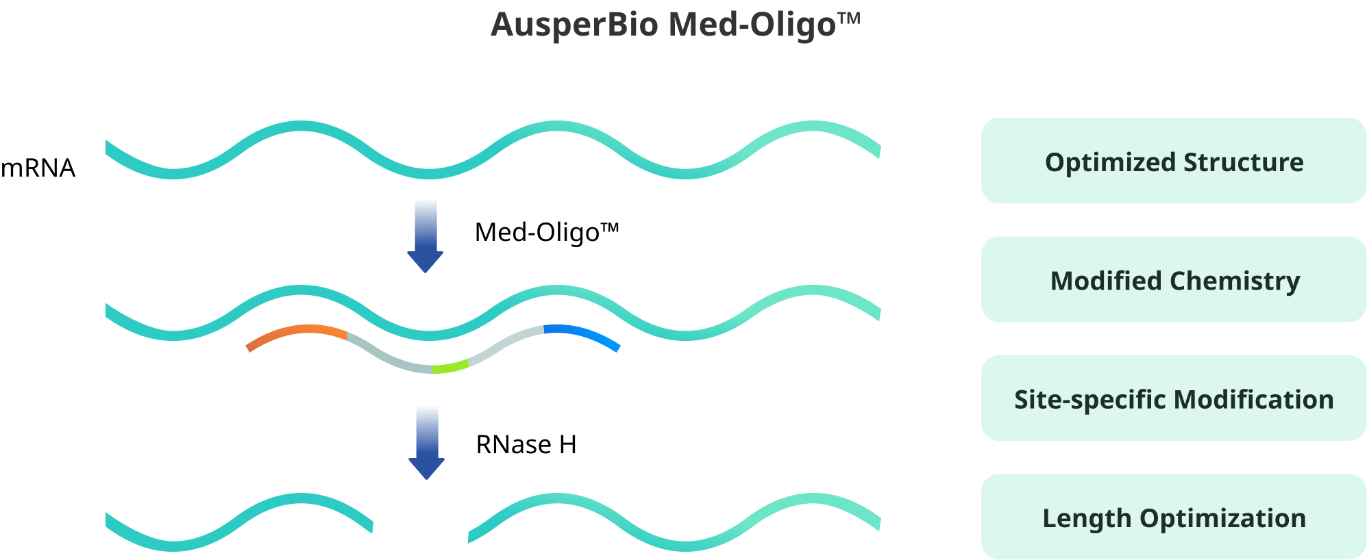 Ausperbio